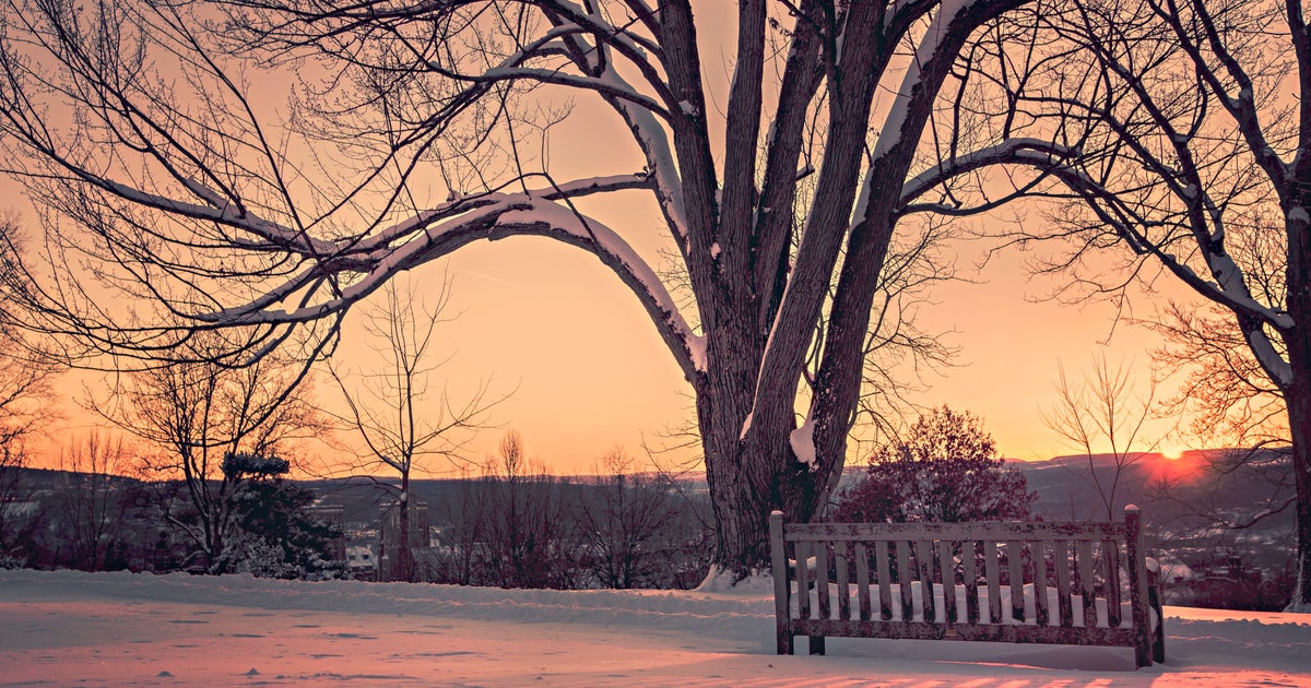 The Campus Environment and Its Role in Your College Choice | HuffPost ...