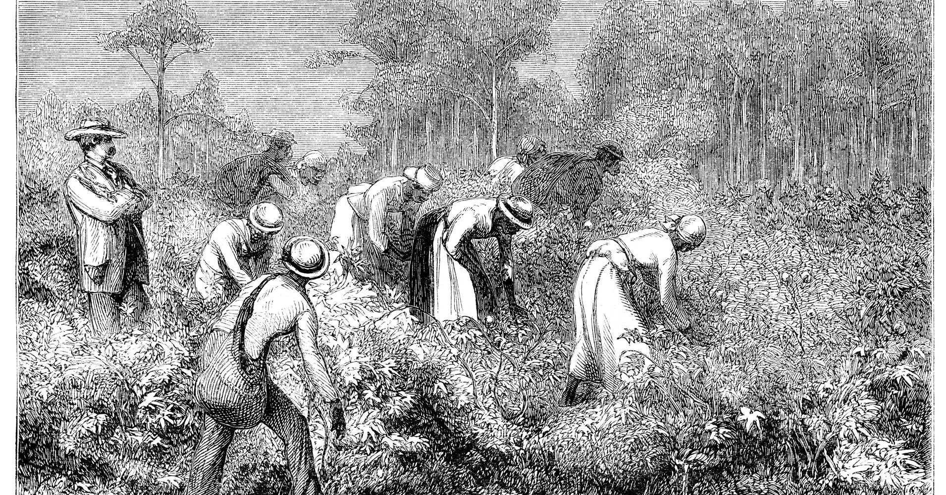 Comparing The Irish To African American Slaves Is Prejudiced | HuffPost