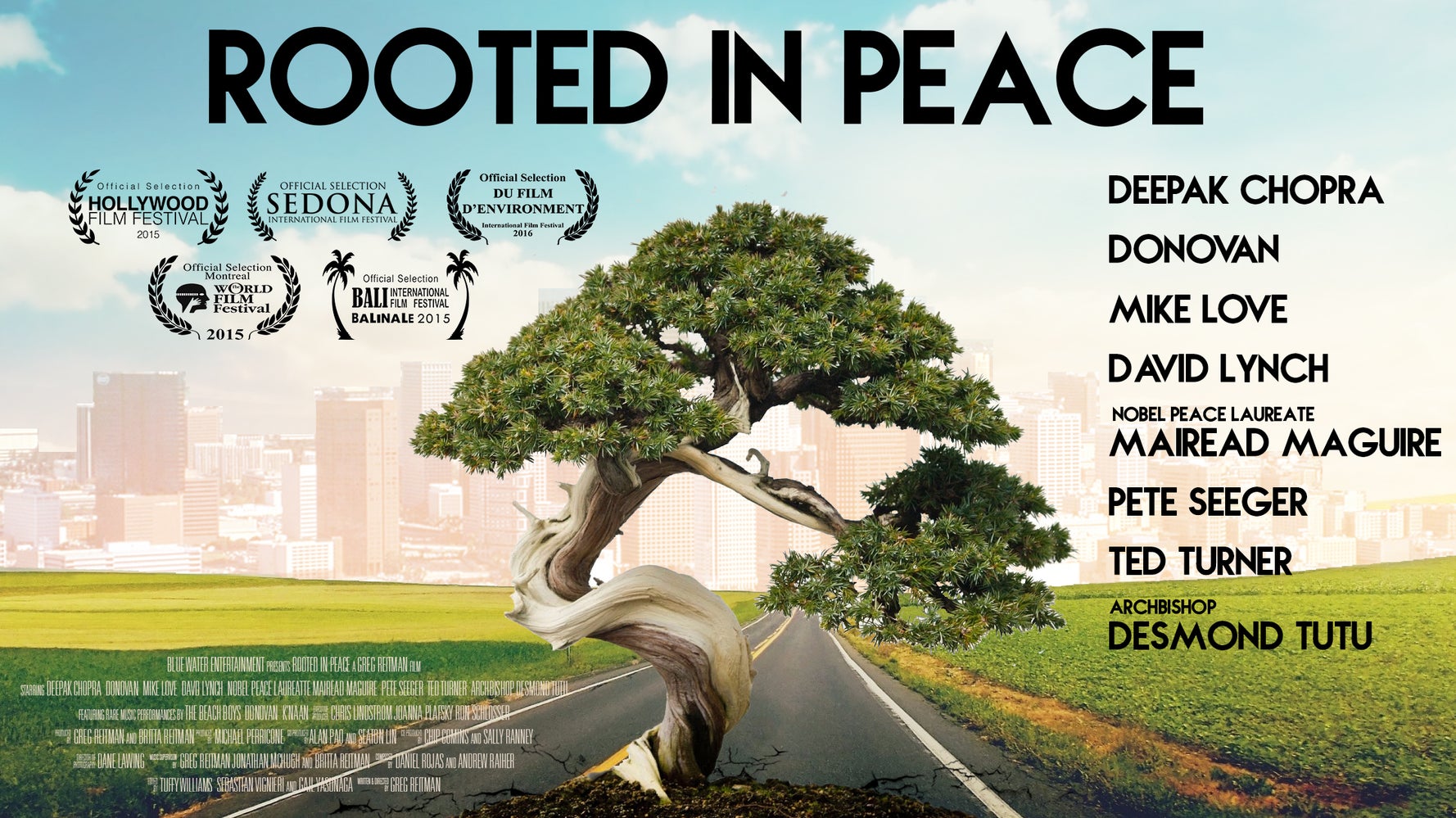Rooted In Peace Is Rooted In Hope: A Time for Action | HuffPost Contributor