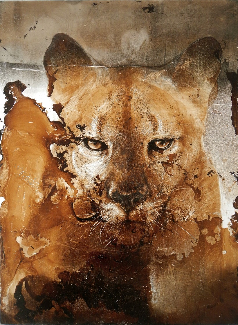 James Griffith's Tar Paintings, Biophilia @ Craig Krull Gallery | HuffPost