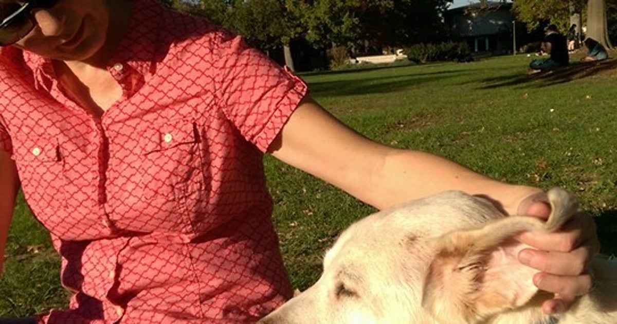 Farewell to a good and steady dog, in a world that needs him ...