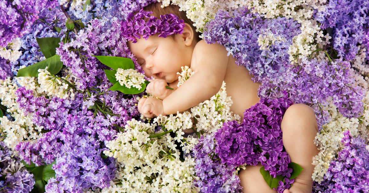 10 Spring Flower Names Beyond The Classic Lily And Rose | HuffPost Life