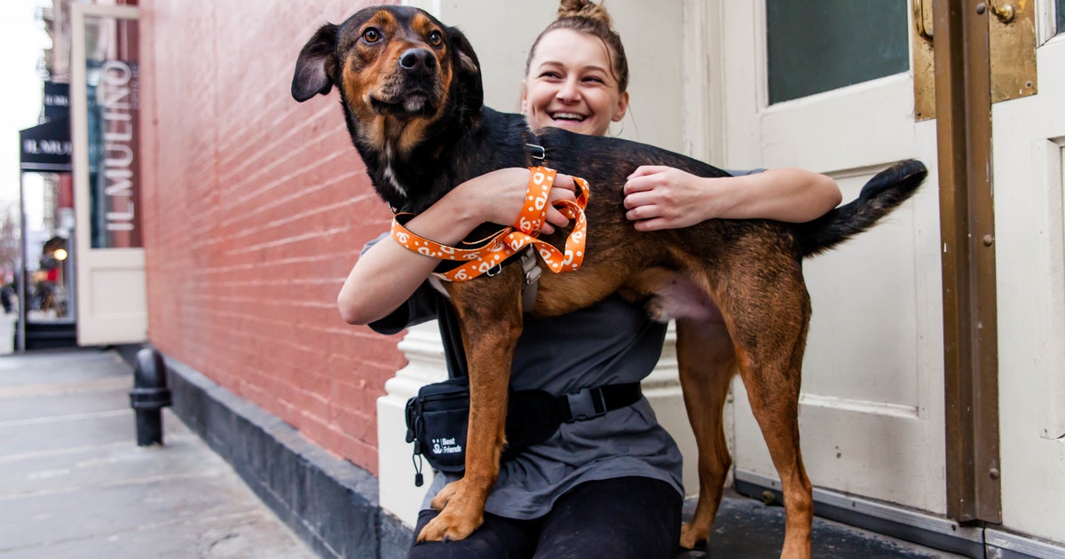 Best Friends Animals Society Opens New Adoption Center in New York City ...