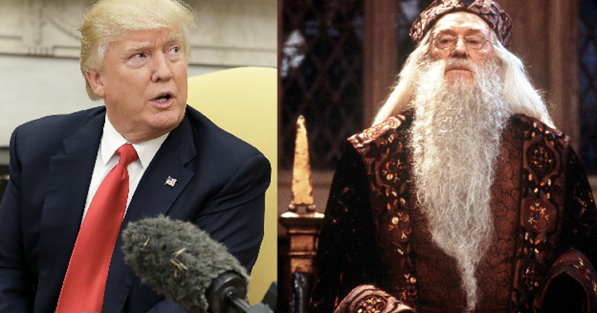 Harvard Students Protest Donald Trump Just Like Harry Potter Would ...