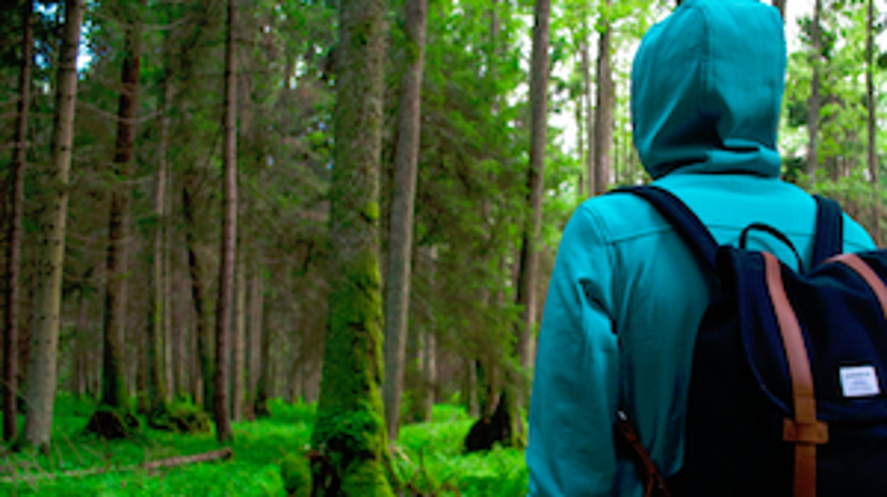 Why You Need More Nature In Your Life | HuffPost Life