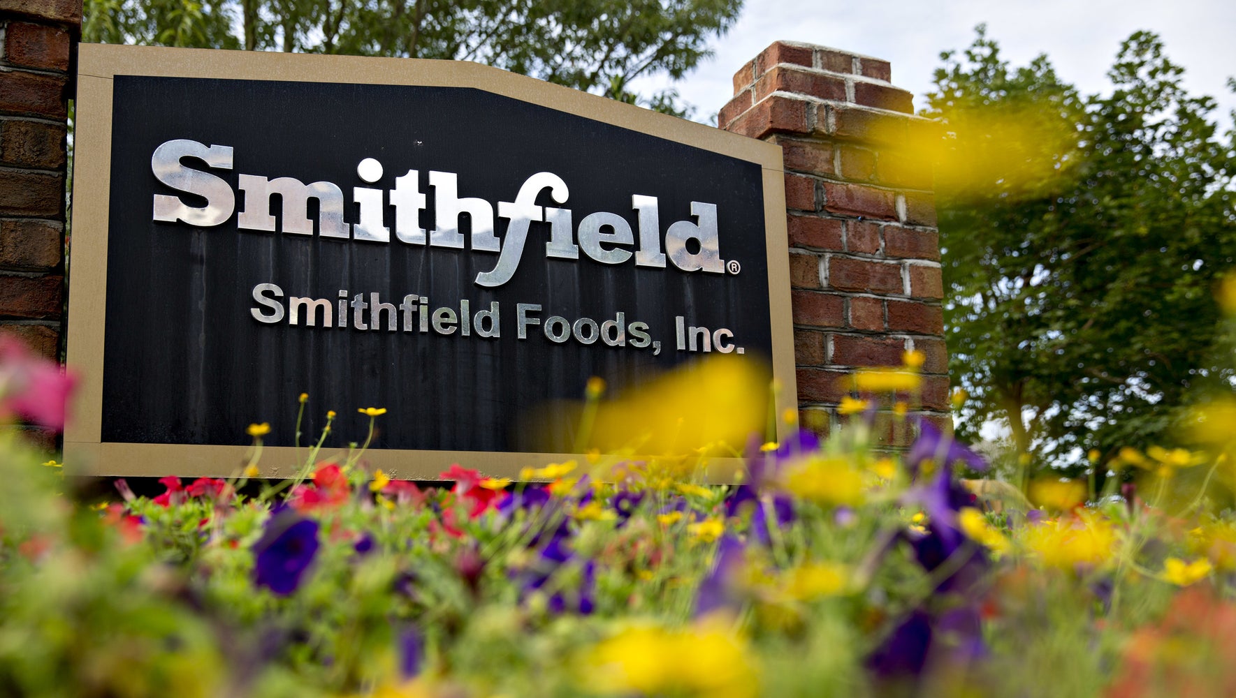 Smithfield Makes Move On Market For Pig-Human Transplants | HuffPost Life