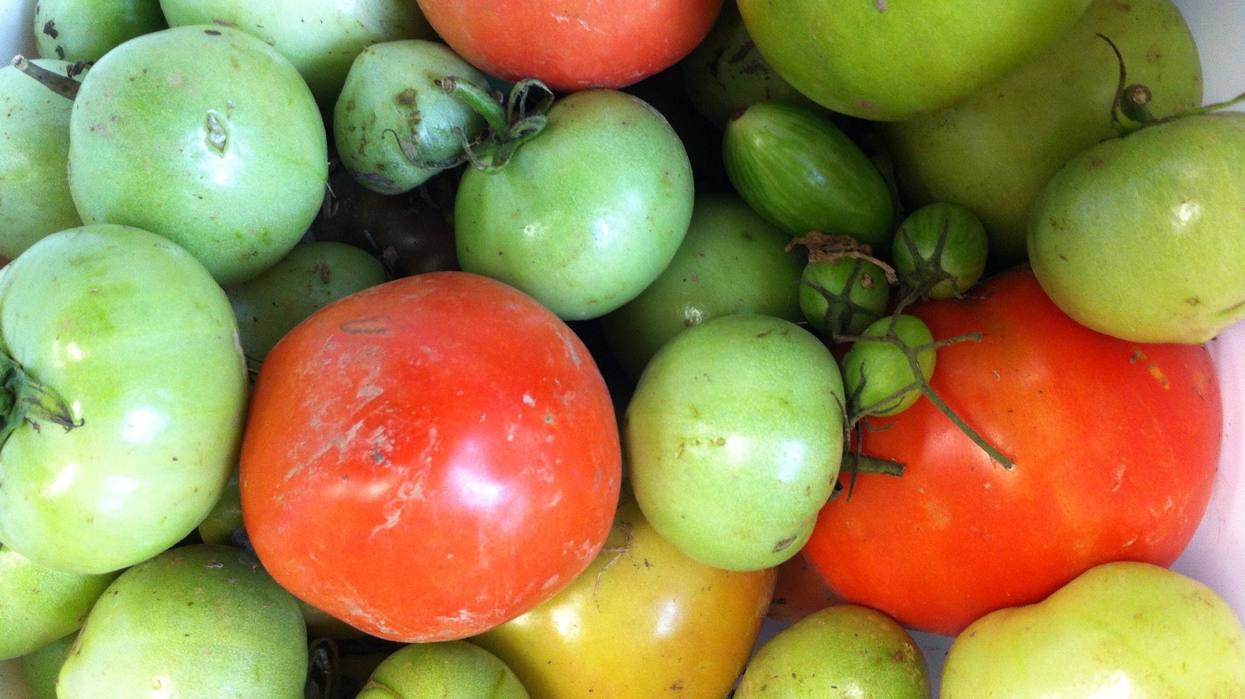 Why Small-Scale Farming Is Our Best Hope For Restoring Rural America ...