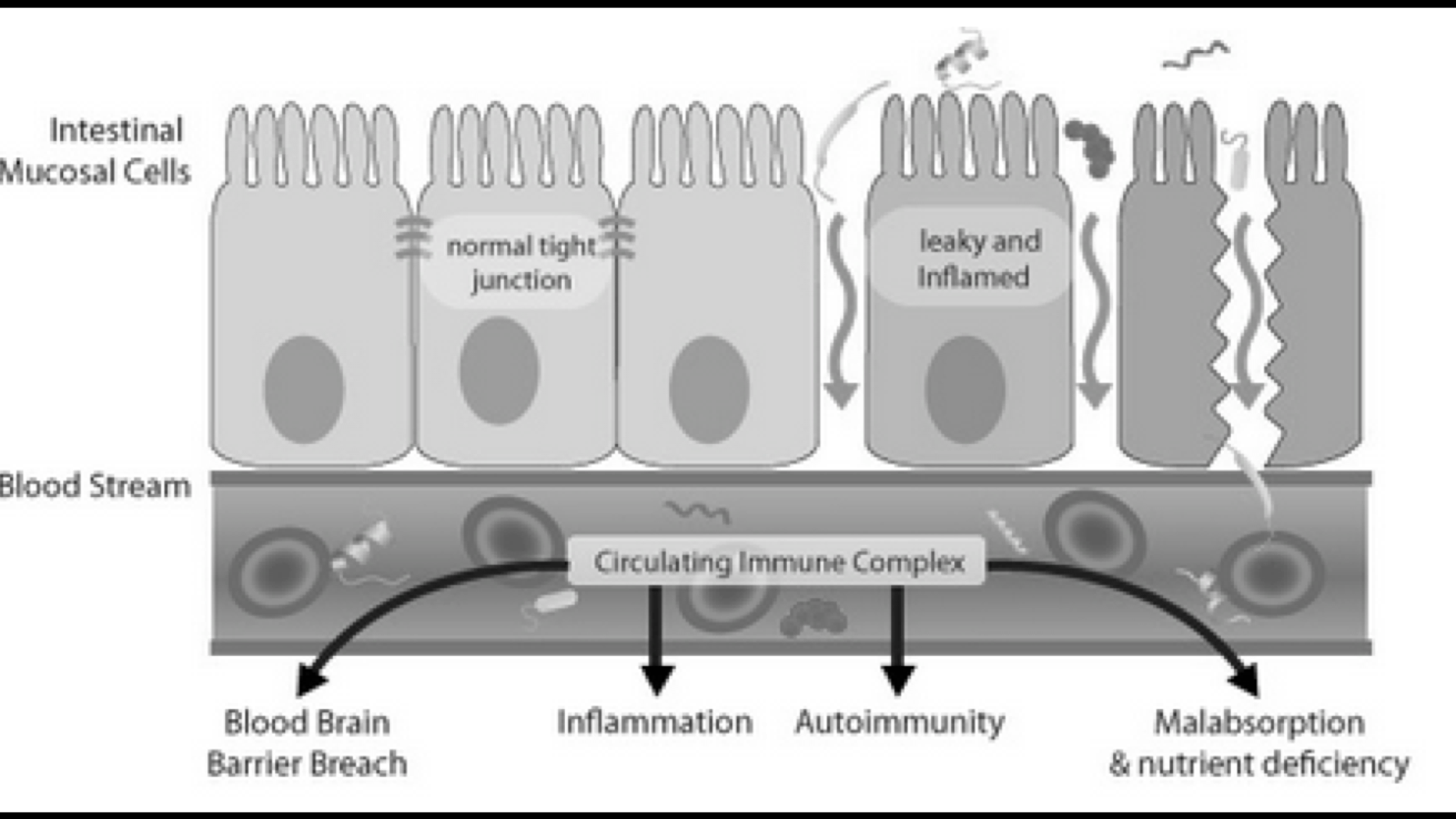 "All Disease Begins in The Gut." - Hippocrates | HuffPost Contributor