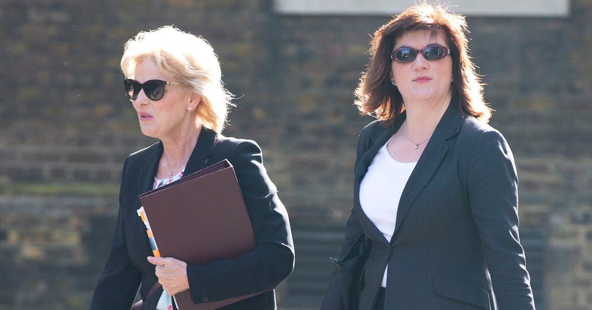 Tory MPs Quit Pro-EU Open Britain Group After It Draws Up General ...