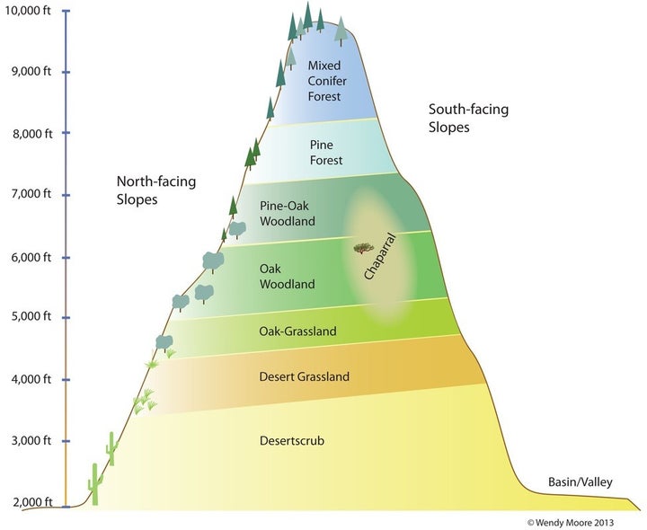 What Are Sky Island Mountains and Why Are They Important? | HuffPost ...