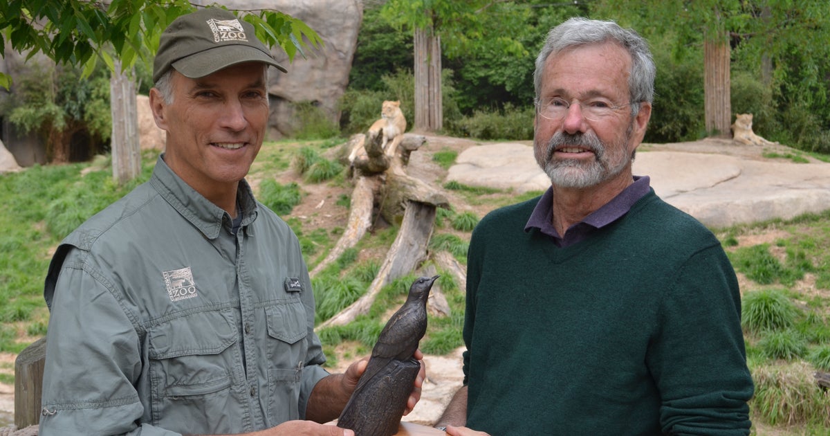 Cincinnati Zoo Celebrates 25 Years of Celebrating Wildlife Conservation ...