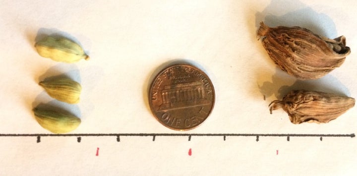 The anatomy of cardamom | HuffPost Contributor