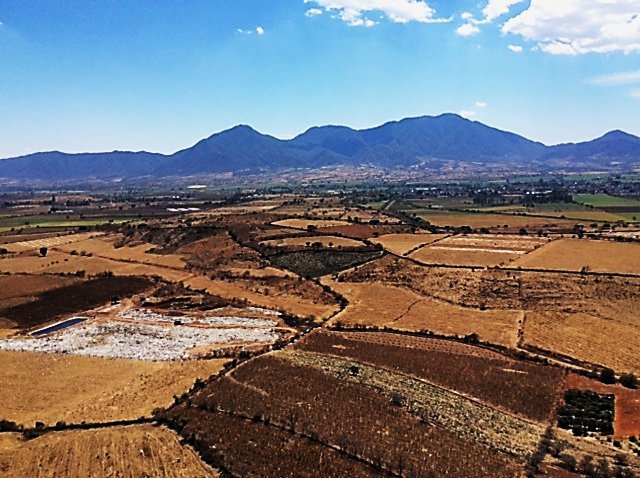 Understanding Tequila: Mexico’s Gift to the World | HuffPost Contributor