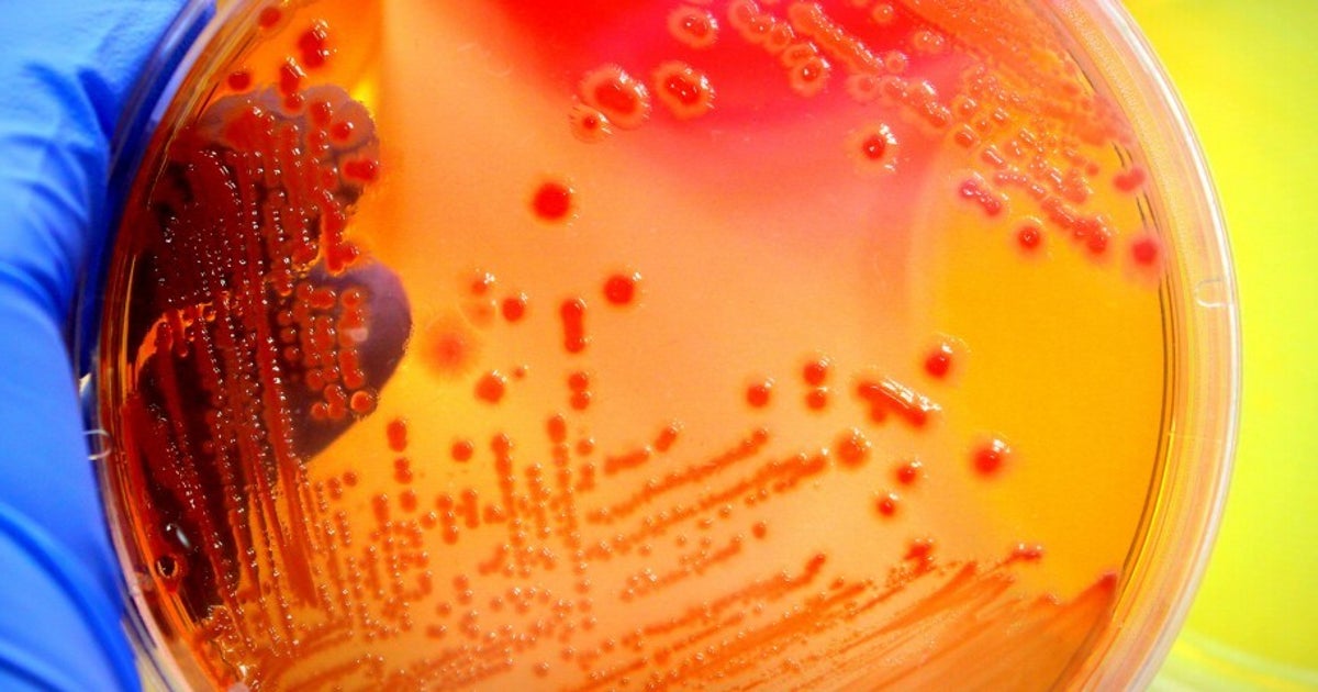 Pneumococcal Disease And Vaccines: The Numbers' Game | HuffPost Life