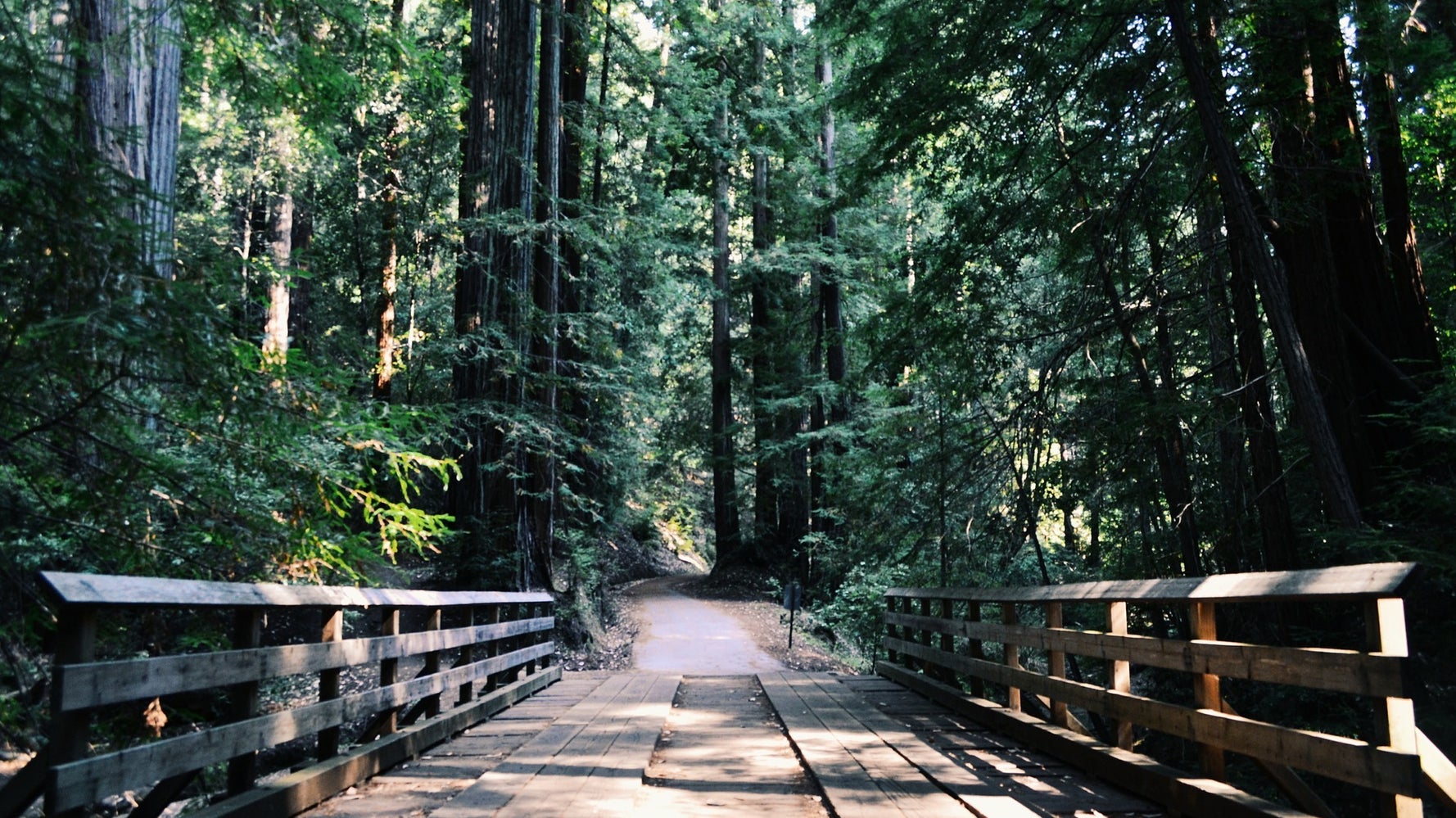 Any Career You Choose Will Lead You Down an Uncertain Path | HuffPost ...