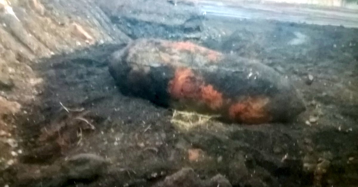 Birmingham's Unexploded WW2 Bomb Sees Residents Spend Night In Rest ...