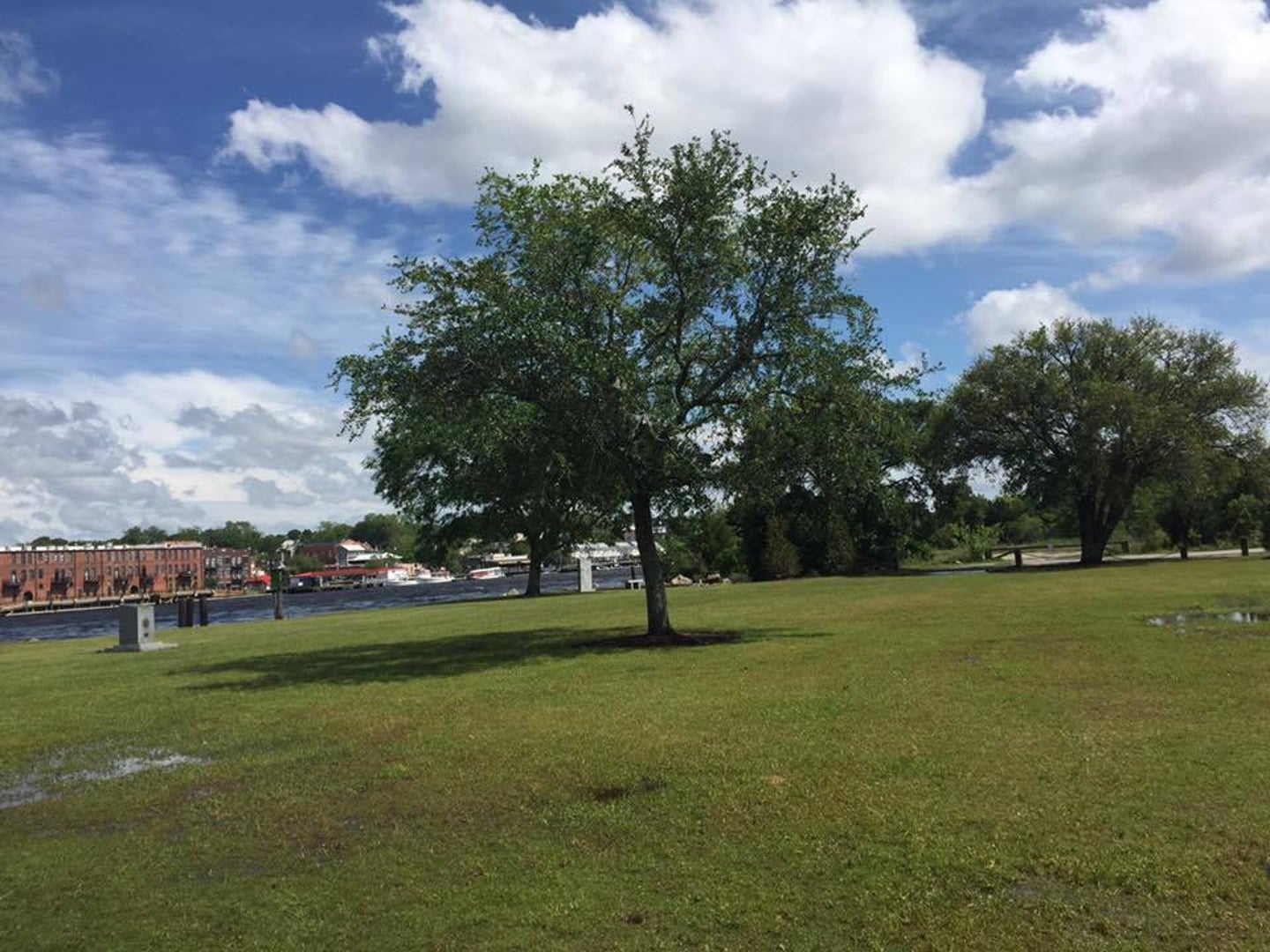 Tour of Tree Hill | HuffPost Contributor