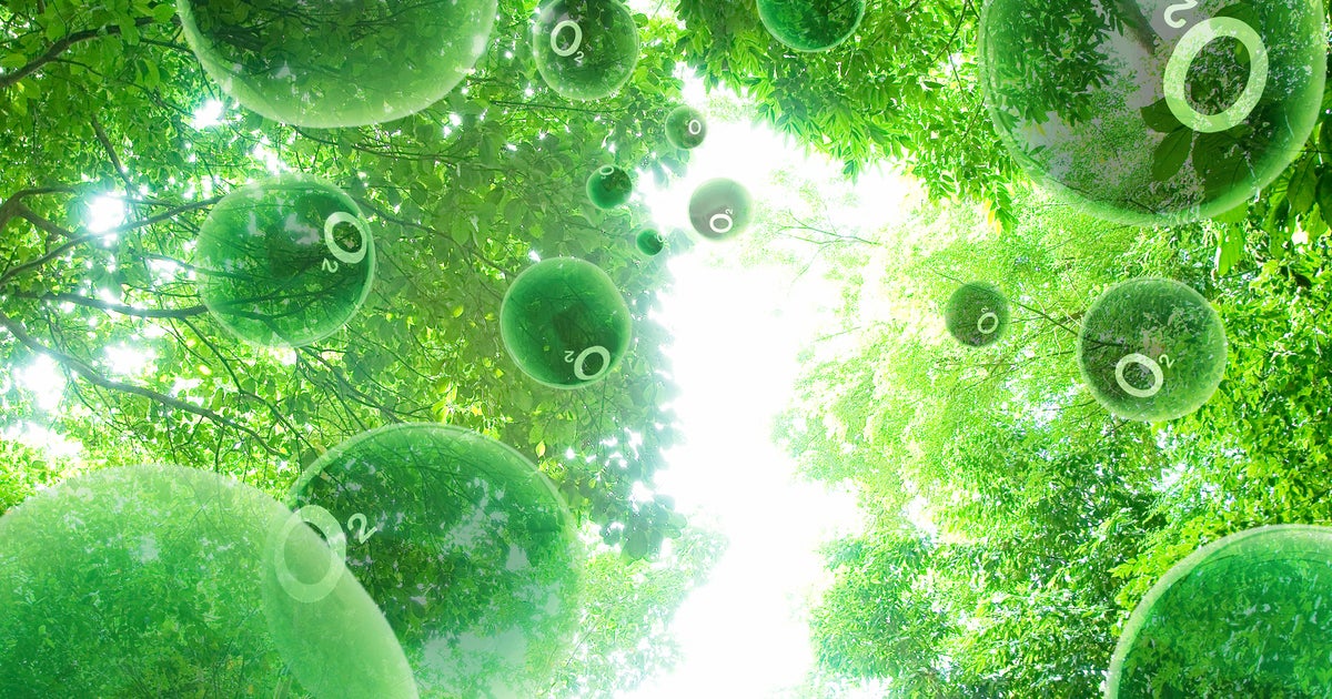 Future Lifeforms Could Rely On Gasses Other Than Oxygen | HuffPost ...