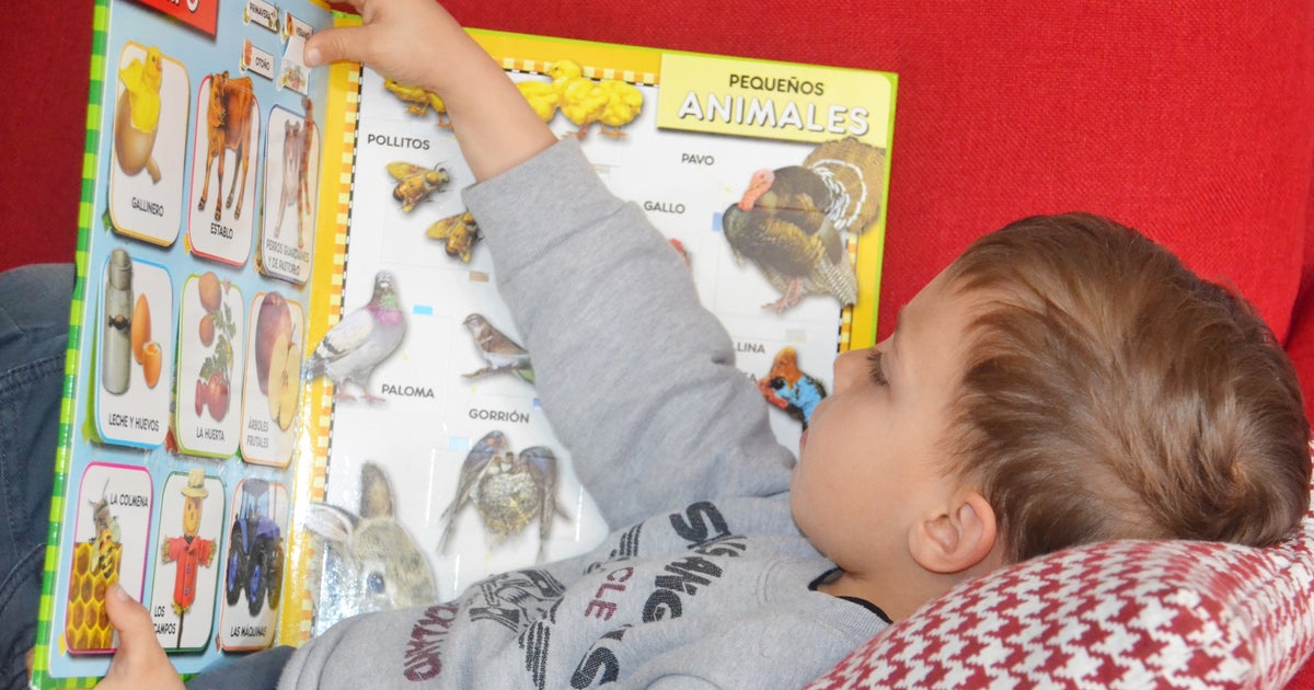 5 Reasons You Should Teach Your Child Another Language | HuffPost Life