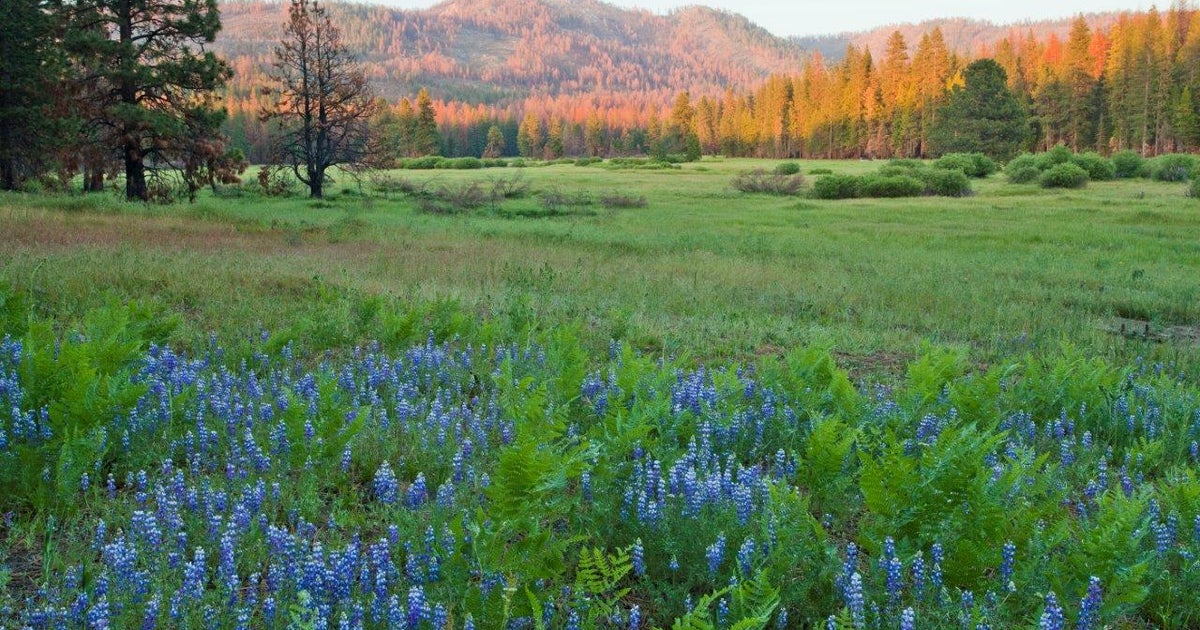 Trump Budget Would Wipe Out Land Protection | HuffPost Impact