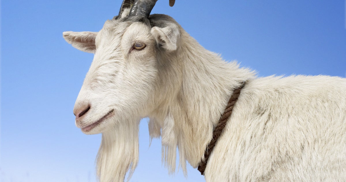 How Do Goats Descend Cliffs? | HuffPost Contributor