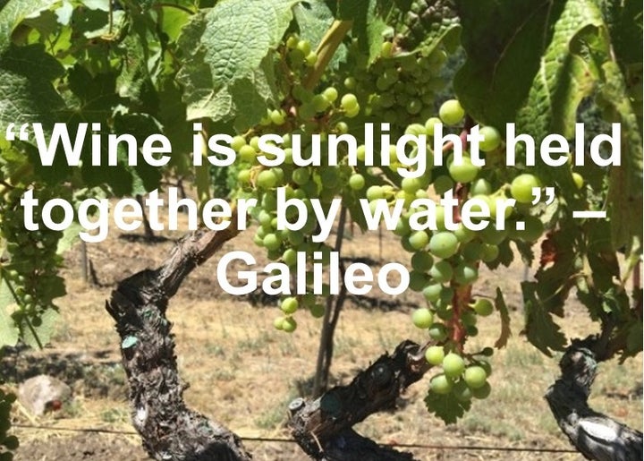 It's National Wine Day and Here Are 18 Awesome Quotes About Wine ...