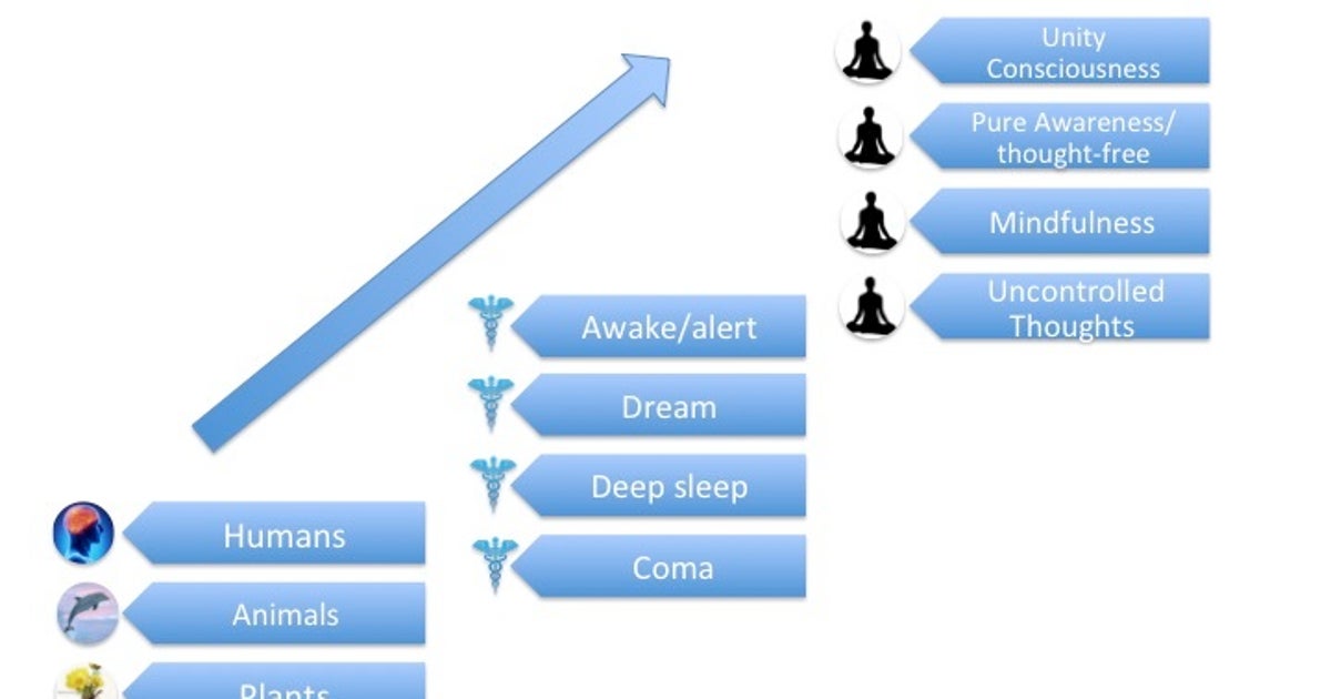 Our Models of Consciousness: How They Shape Our Reality | HuffPost ...
