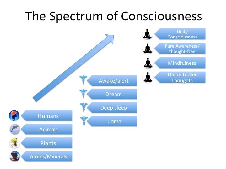 Our Models of Consciousness: How They Shape Our Reality | HuffPost