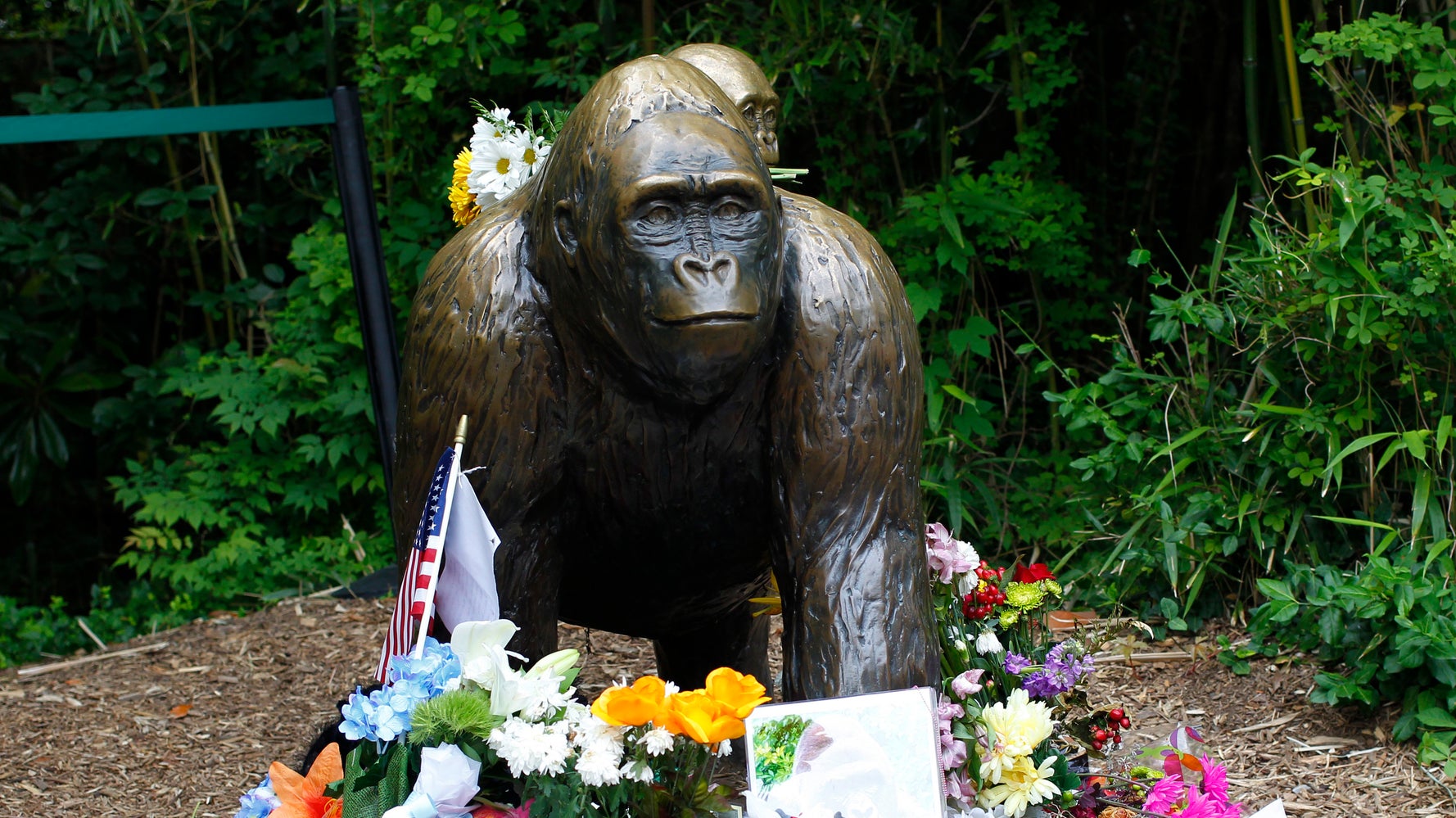 The Internet Mourns One-Year Anniversary of Harambe's Death | HuffPost