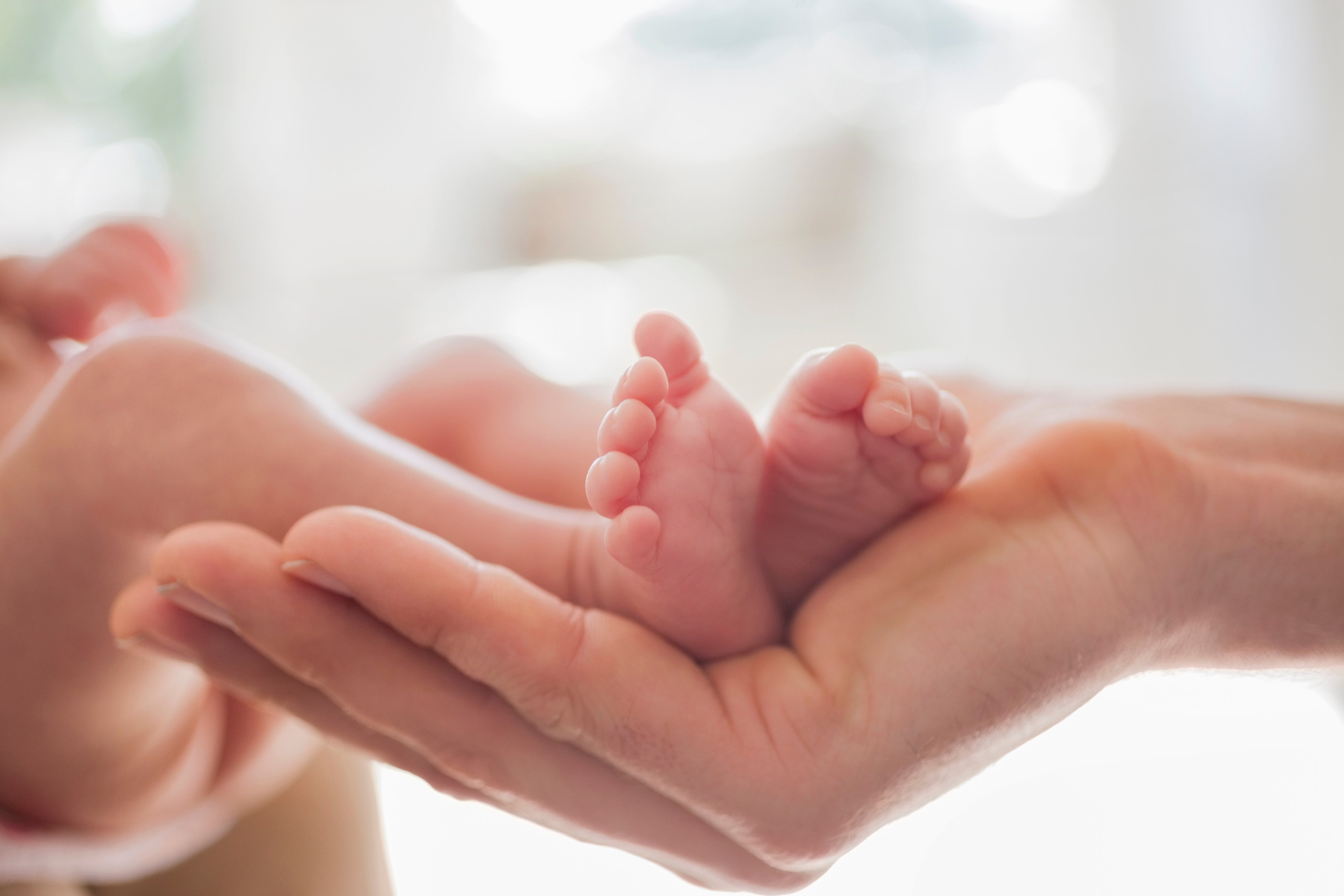 Causes Of Major Birth Defects Still Largely Unknown Say Researchers Causes Of Major Birth Defects Still Largely Unknown Say Researchers