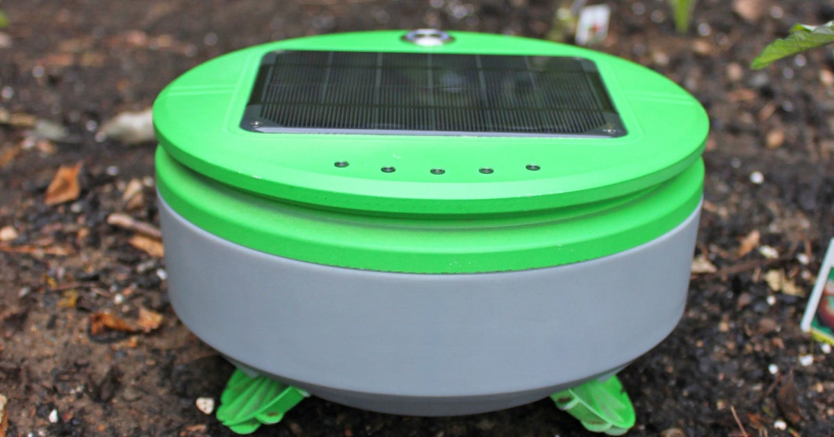 This Plucky Little Robot Will Weed Your Garden For You | HuffPost UK Tech