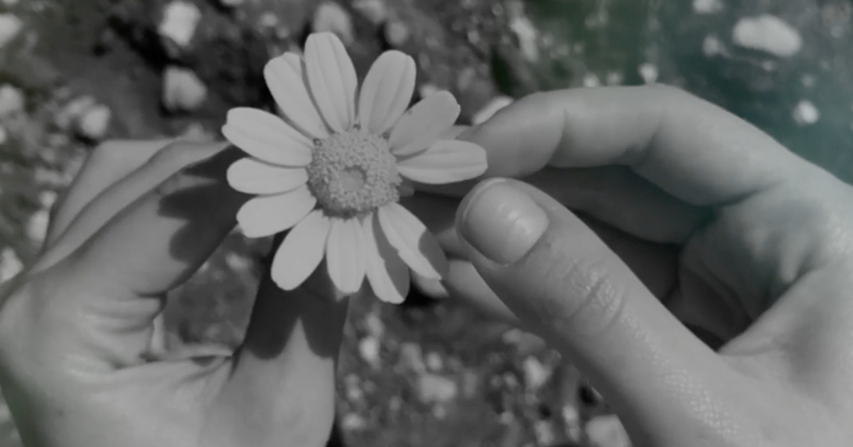 Poetry Film: Safe Cocoon | HuffPost Contributor