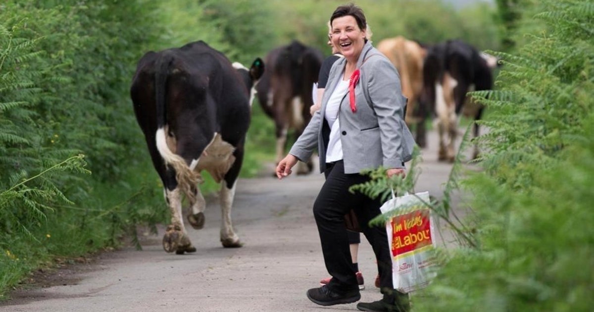Gower Constituency, South Wales, Could Return To Labour Following Shock ...