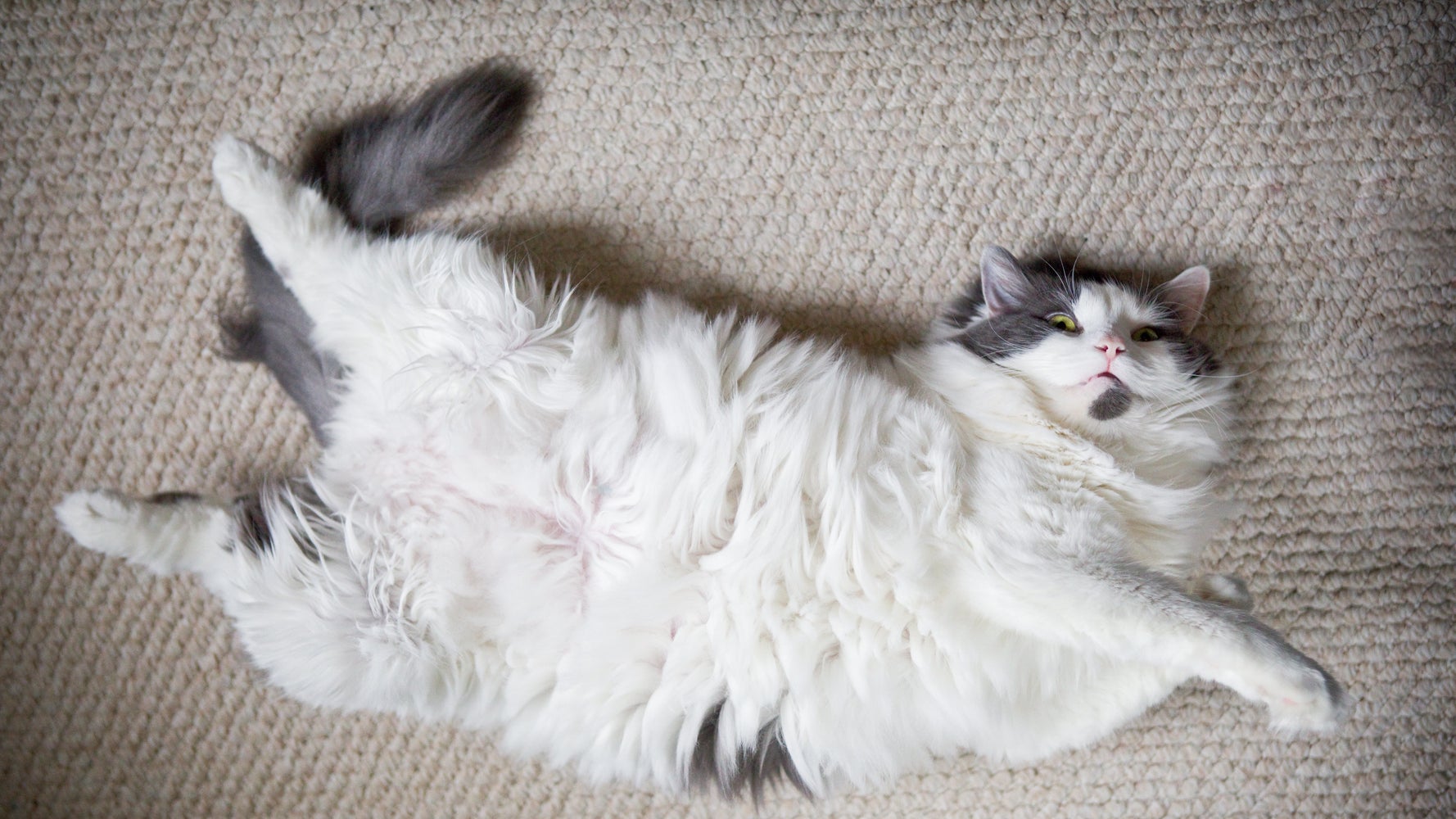 General Election 2017: The Emotional Stages Of Polling Day, As ...