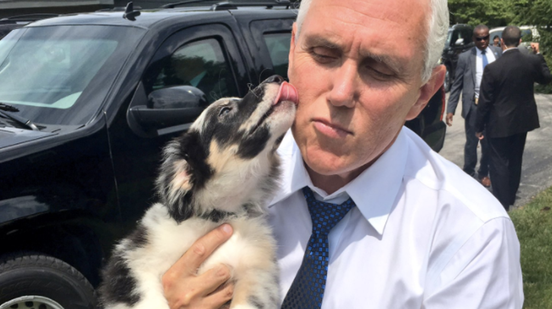 Mike Pence Welcomes Two New Pets For Father's Day | HuffPost Latest News