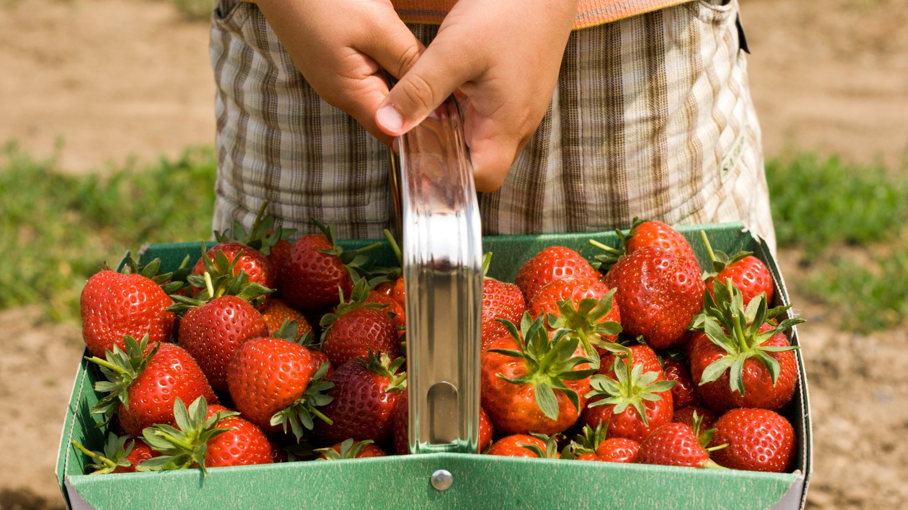 The Joy Of Pick-Your-Own | HuffPost UK Parents