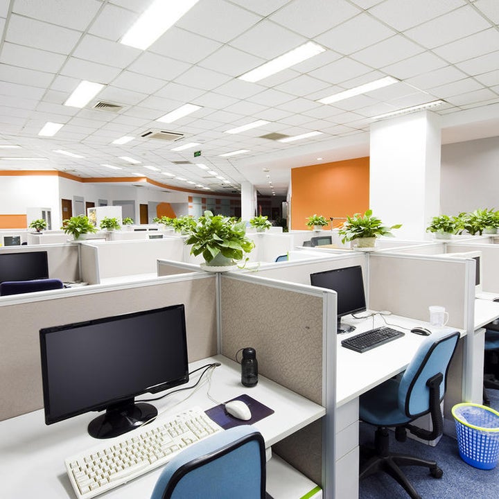 5 Benefits of Using Plants in the Workplace | HuffPost Contributor