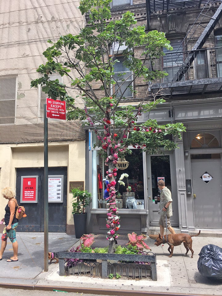 Street art in the form of crochet trees | HuffPost Contributor