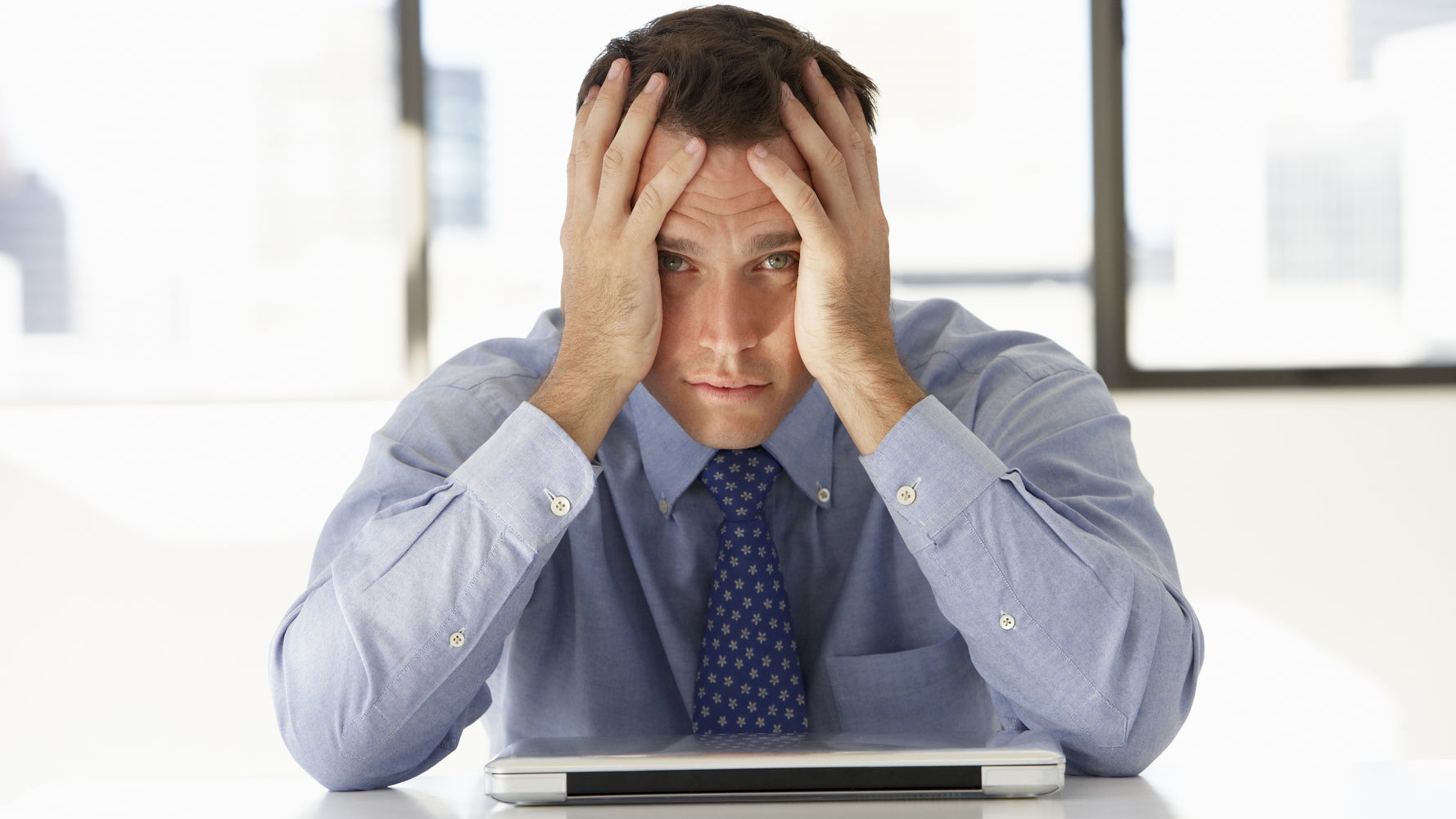 What's the difference between stress tolerance, stress resistance and ...