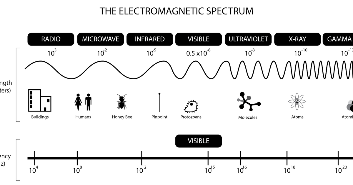 Is Your Microwave Oven Safe? | HuffPost Contributor