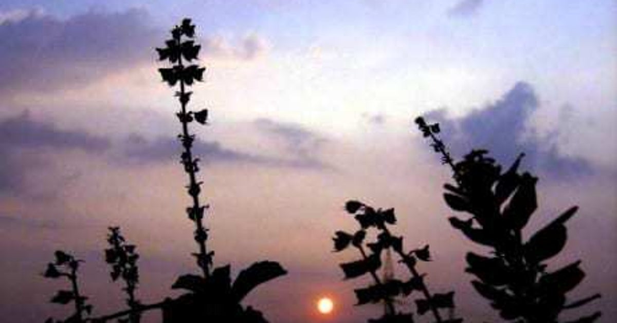 “The Clouds Are Here” – A Beautiful Soundscape From Zayed Hassan ...