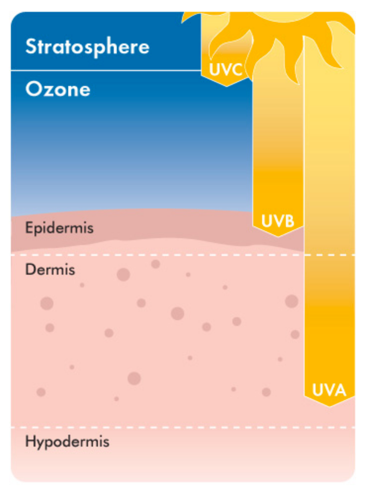 The Shocking Effects of the Sun on the Skin | HuffPost