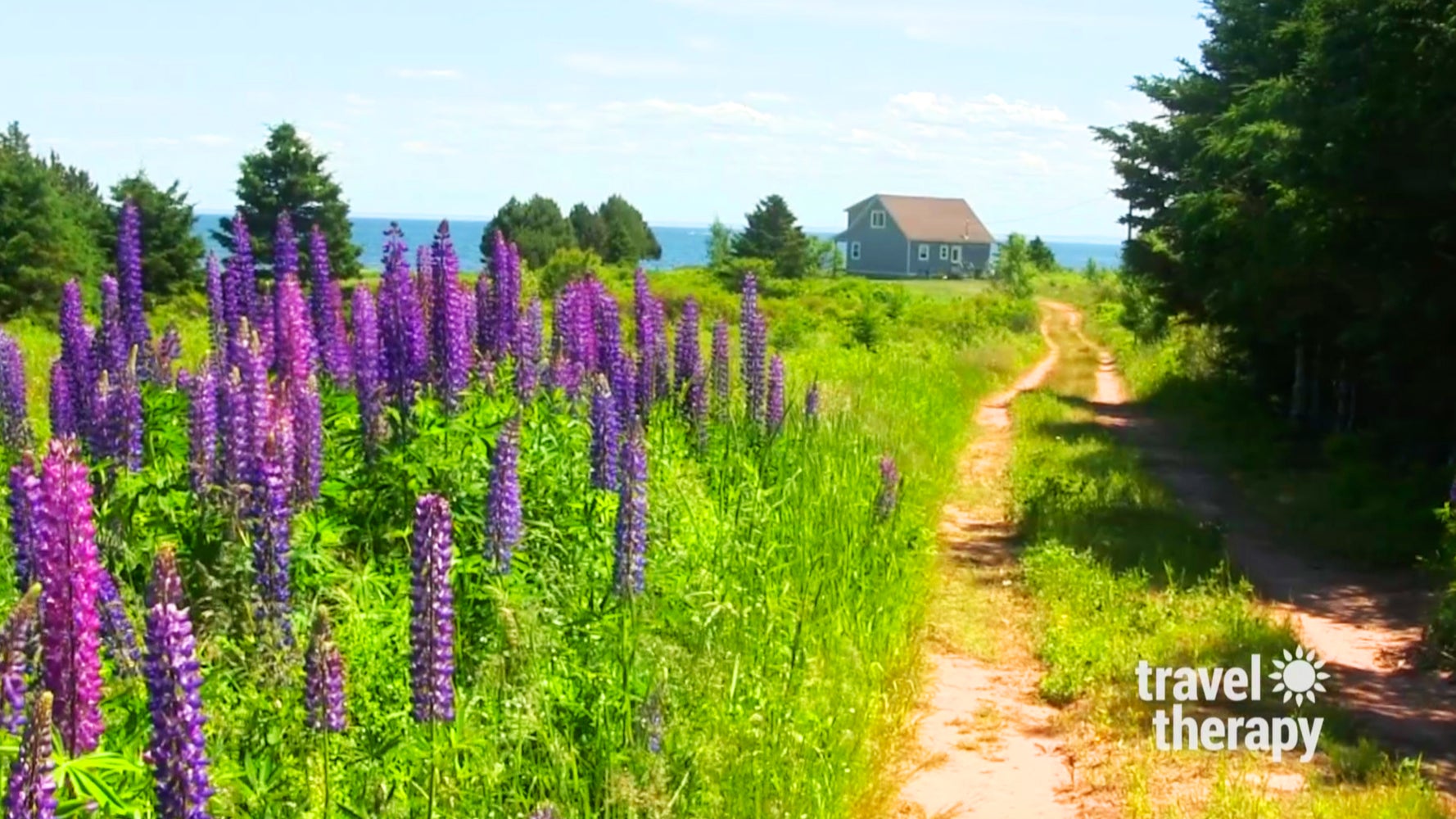 25 Coolest Things to do on Prince Edward Island | HuffPost