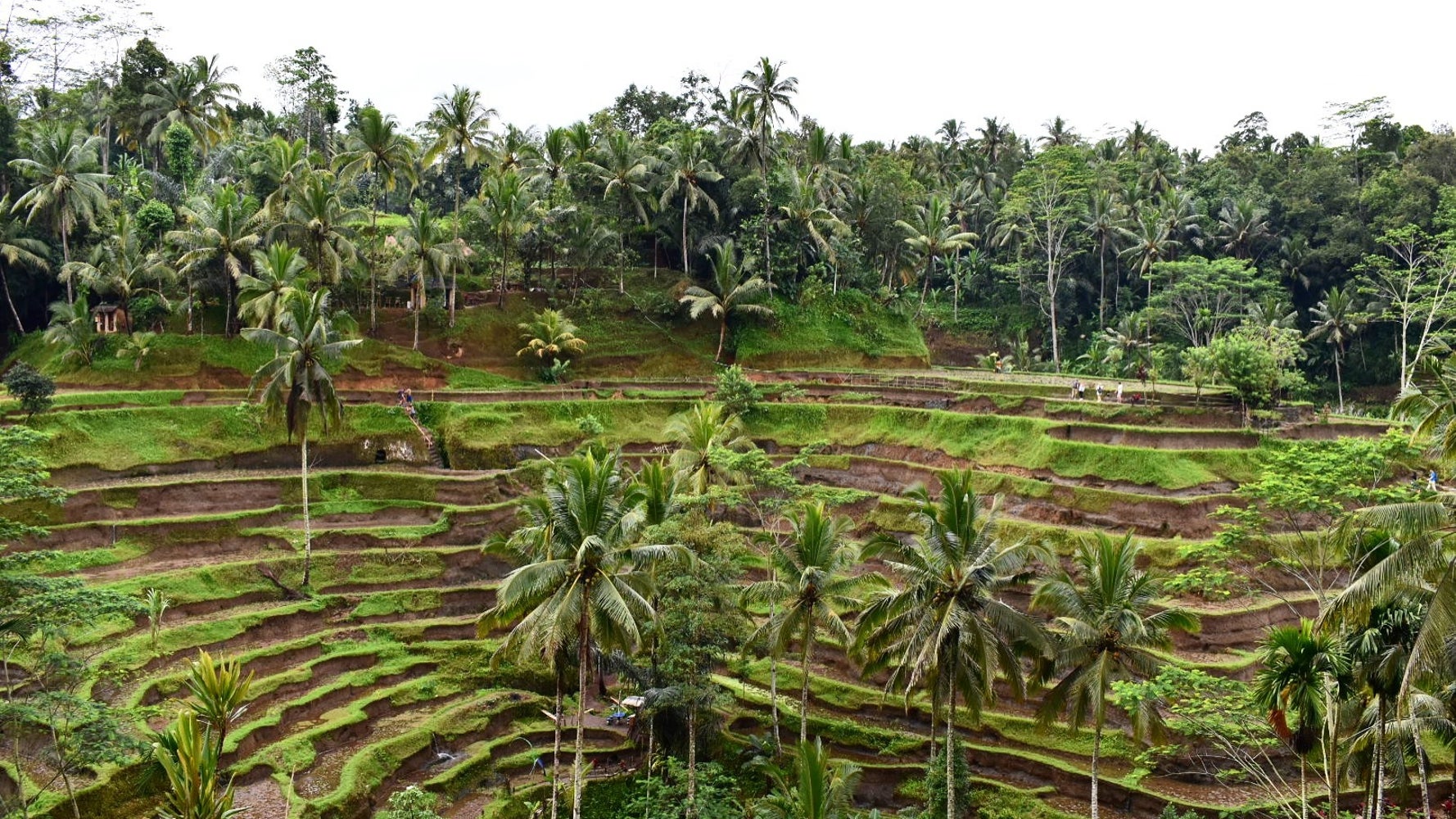 How To See Ubud, Bali In Three Days | HuffPost
