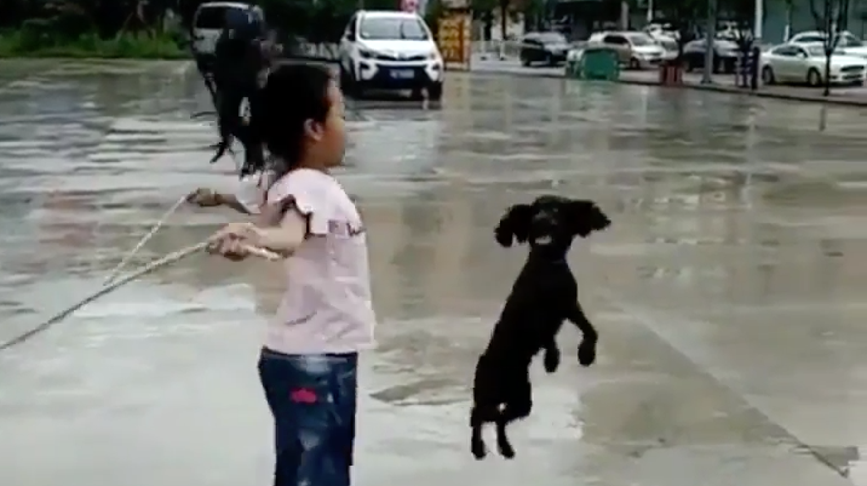 Little Girl And Her Dog Can Skip Together And It's Seriously Impressive ...