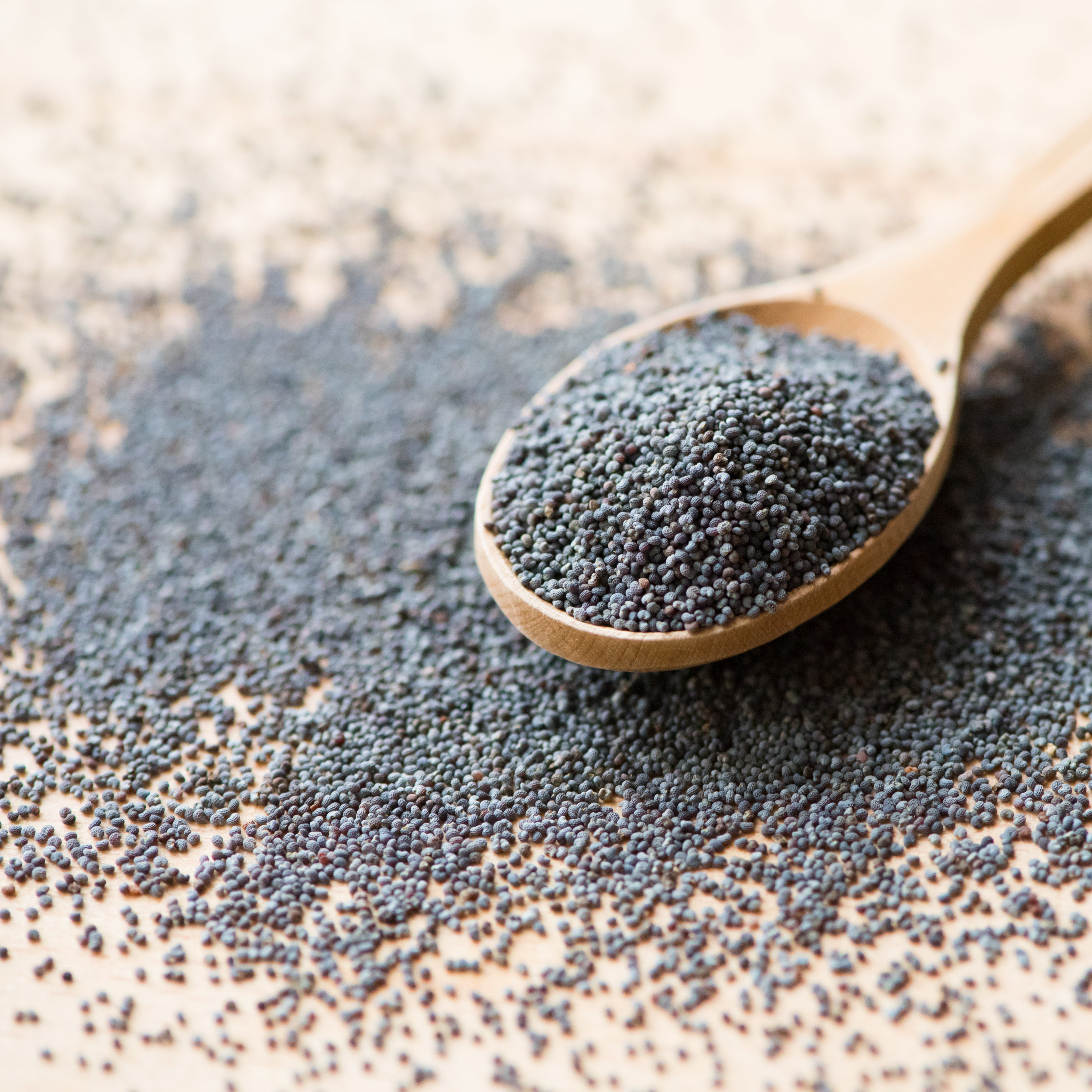 Yes Poppy Seeds Contain Opiates And Here s What You Need To Know Yes Poppy Seeds Contain Opiates And Here s What You Need To Know