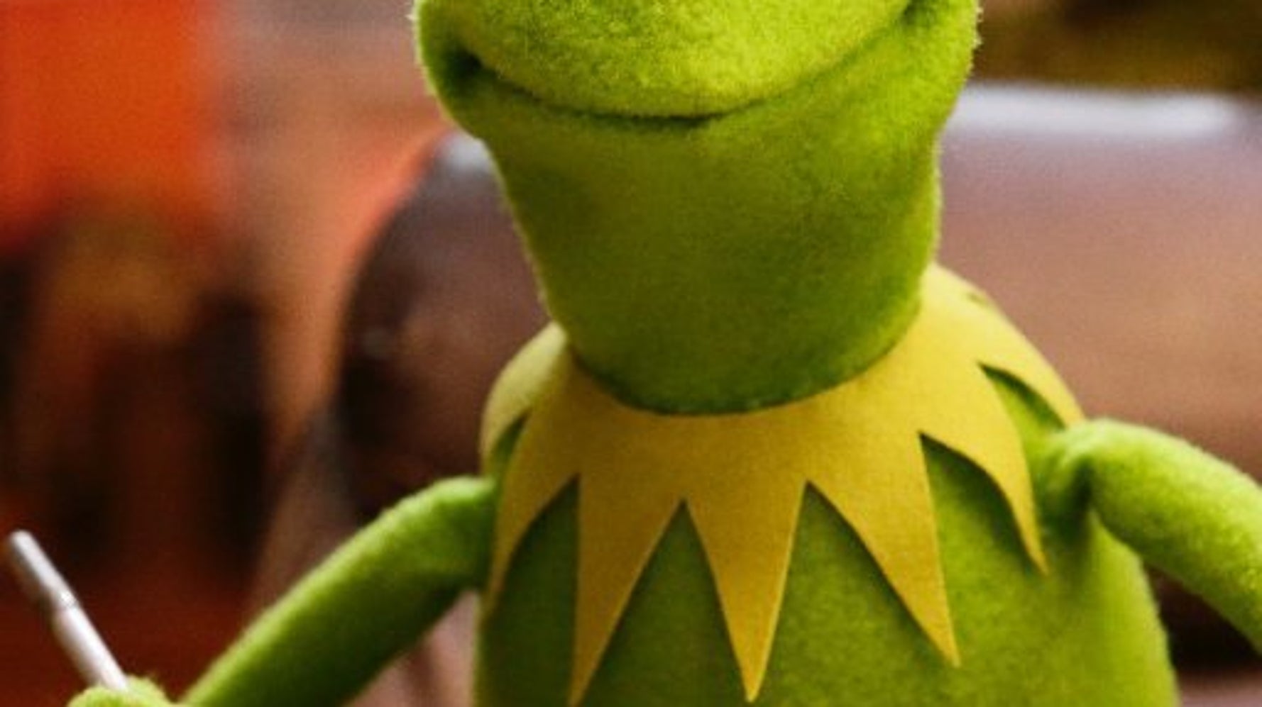 In Defense Of Kermit | HuffPost Contributor