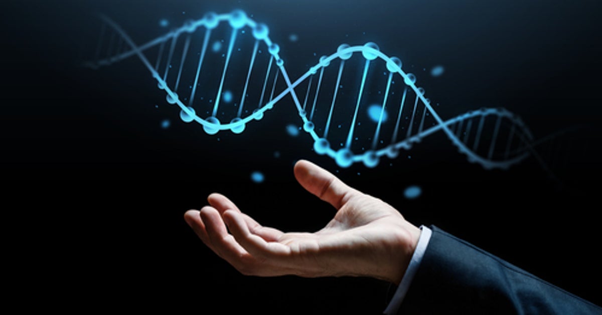 Understanding The DNA of an Entrepreneur | HuffPost Contributor