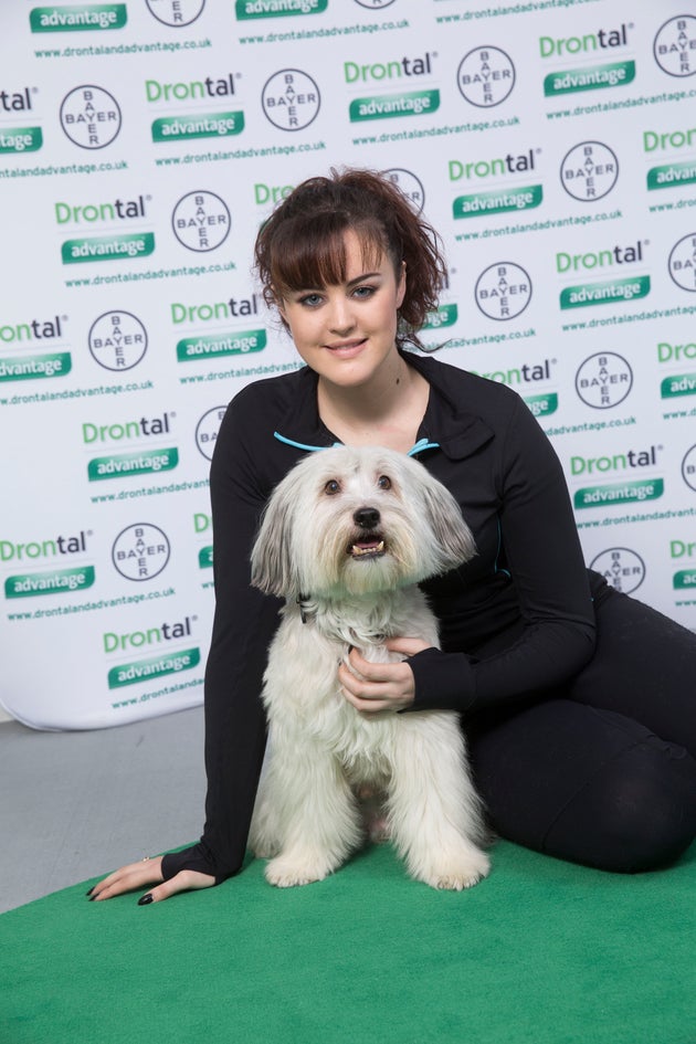 Pudsey Dead: ‘Britain’s Got Talent’ Winning Dog Act Dies, Replaced By ...