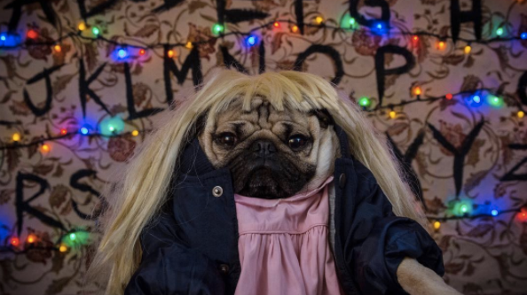 Doug The Pug Scores An Eleven Out Of Ten From 'Stranger Things' Kids ...